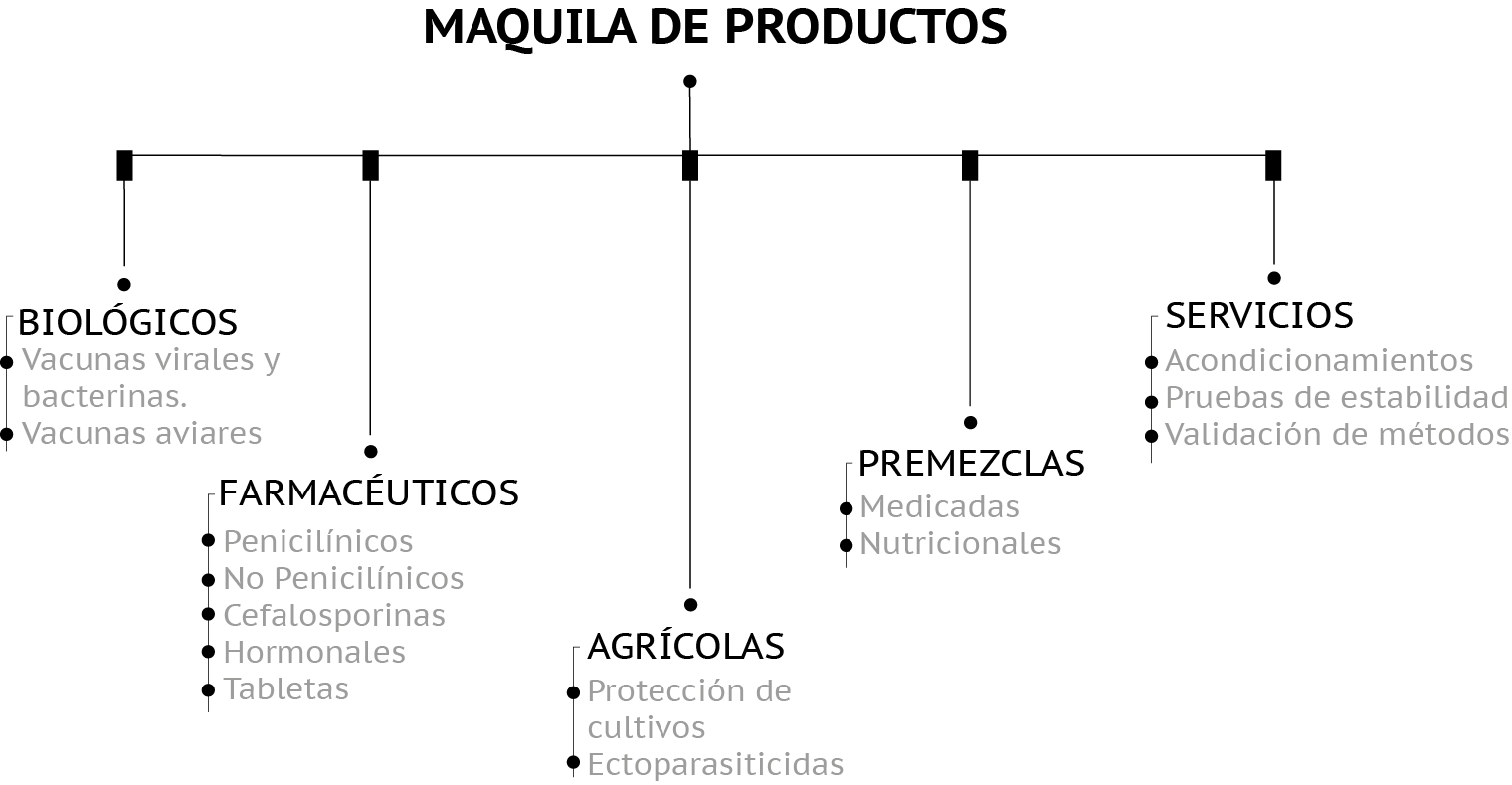 Lapisa | Empresa líder en el sector agropecuario